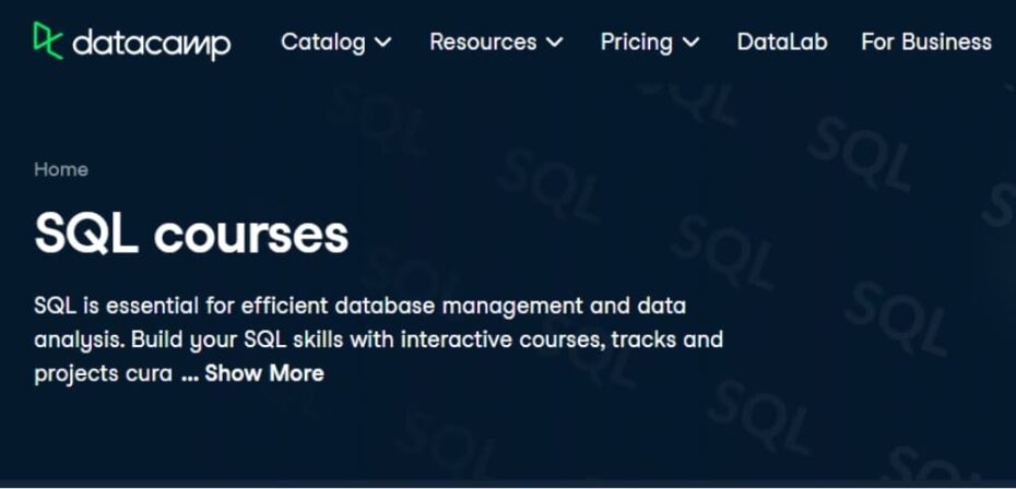 How to practice SQL: 10 Best Platforms (2025) | Rivery